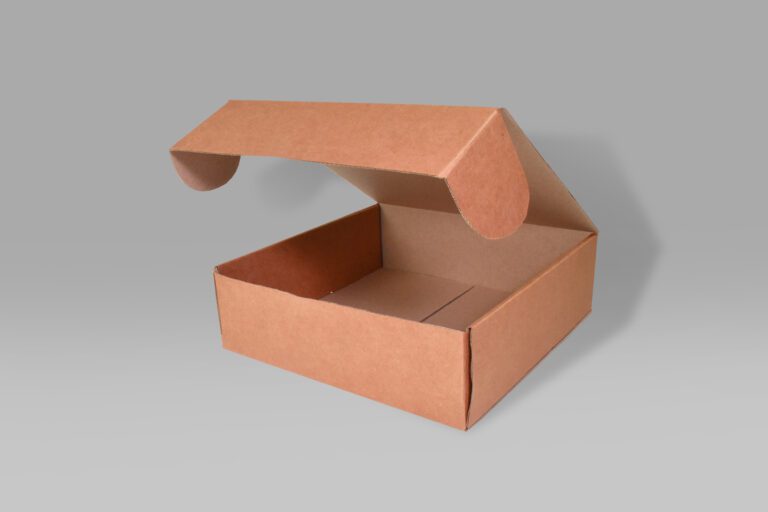 Caja Armable 24x23x7.2 cm - 10 Piezas - Industrias LEC