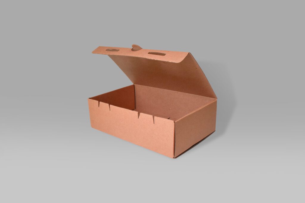 Caja Armable 23.5x15.5x7 cm - 10 Piezas - Industrias LEC